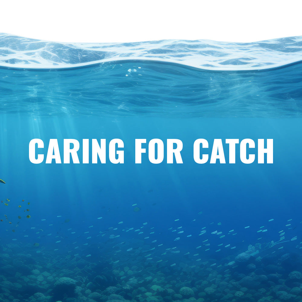 Caring for Catch | Dan Govier Fishing New Zealand – Dan Govier Fishing NZ