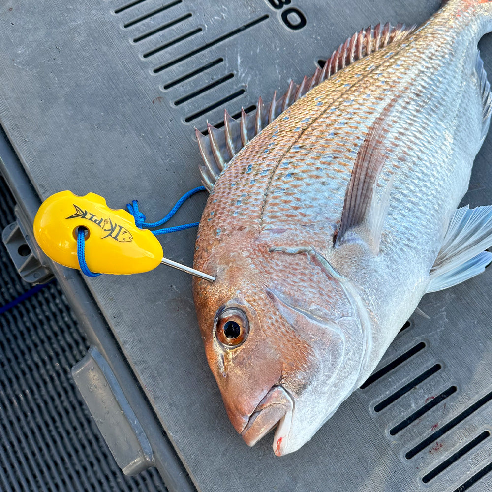 Iki Spike | Dan Govier Fishing New Zealand – Dan Govier Fishing NZ